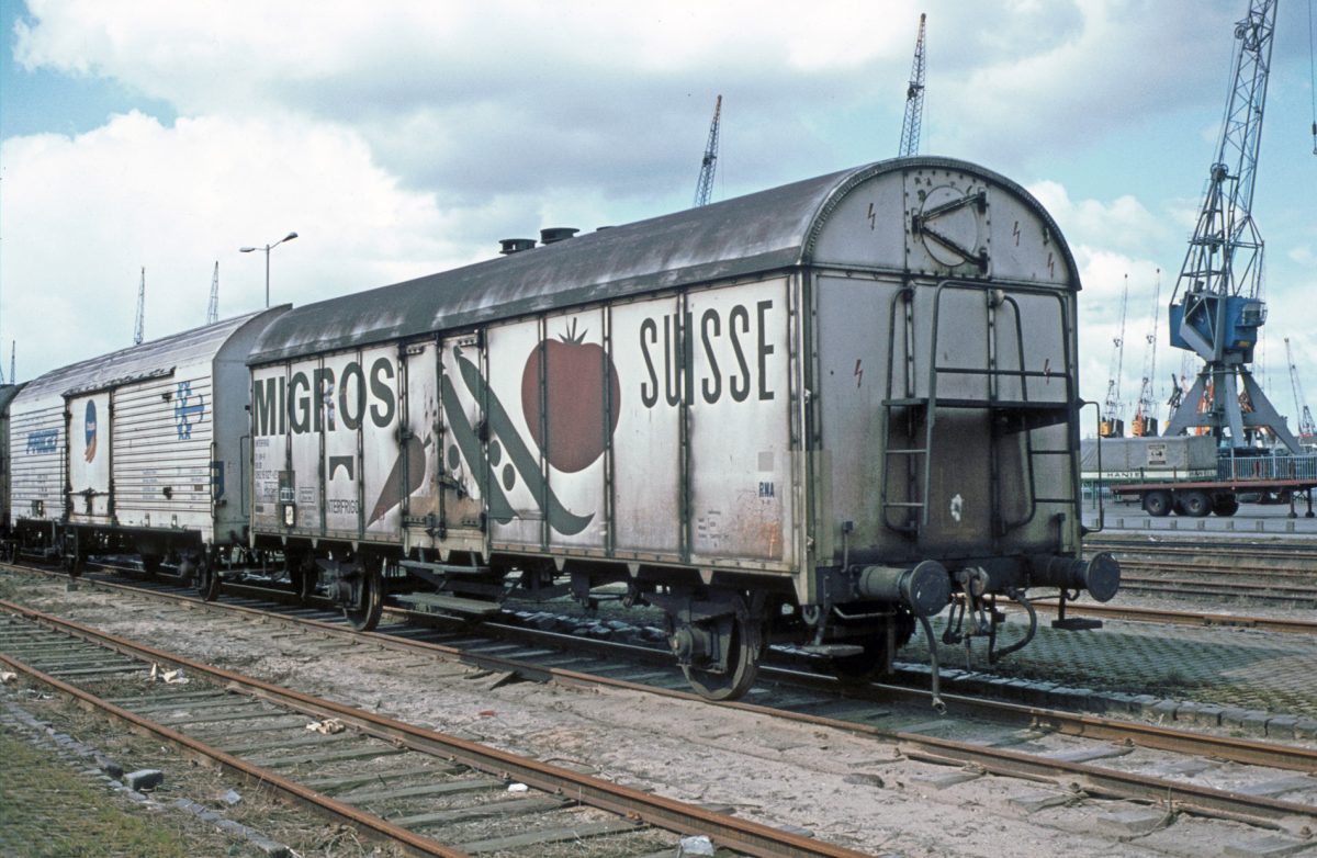 Zoekplaatjes – november 2018 – NVBS Actueel